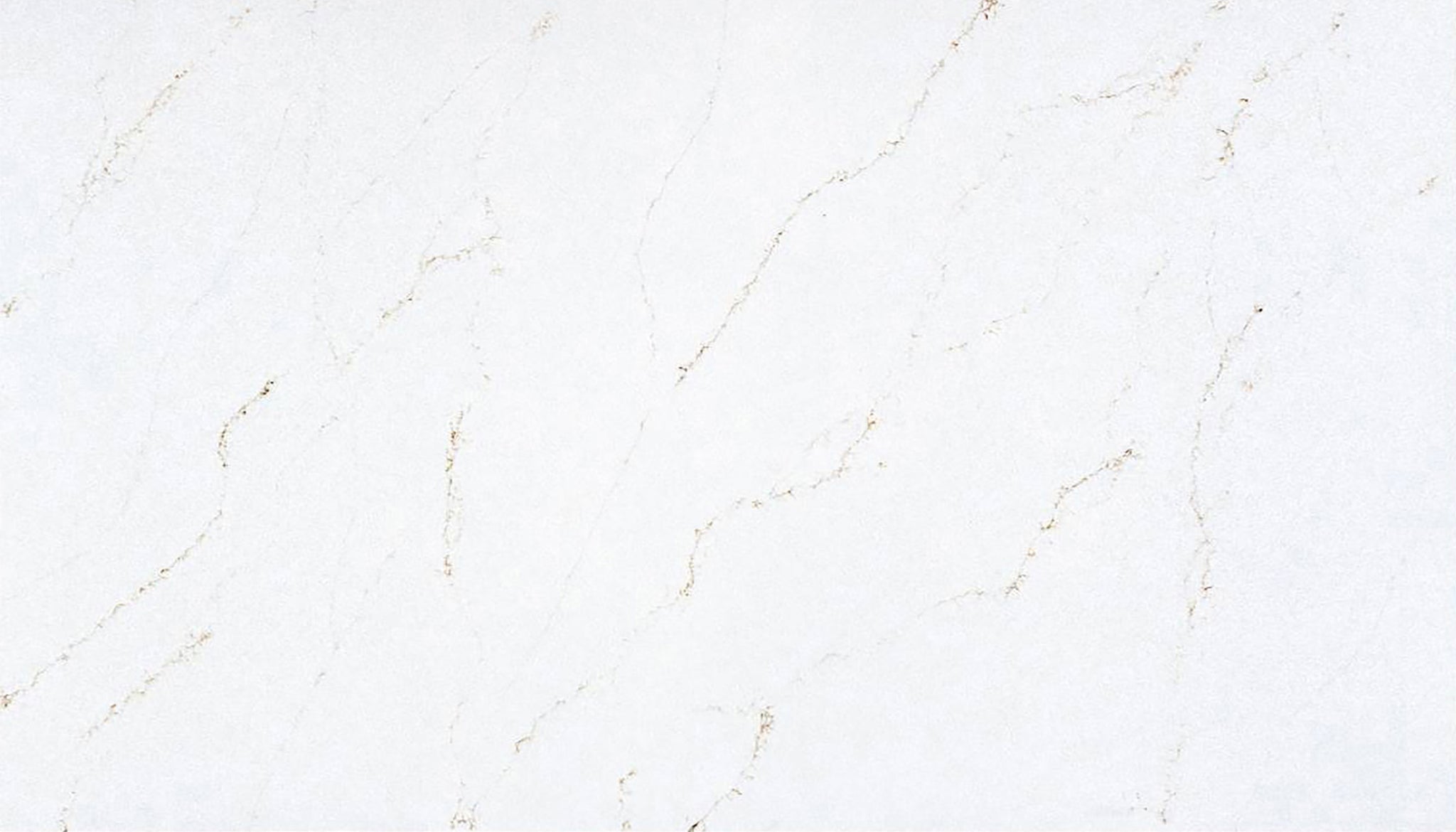 Calacatta Aylo Cosmos Quartz