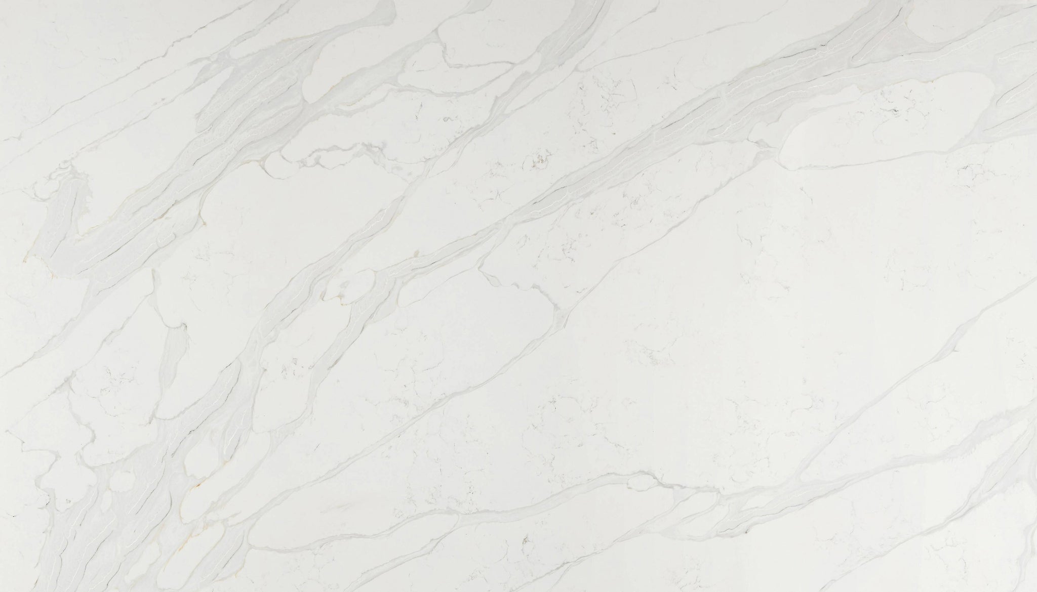 Calacatta Santa Cosmos Quartz