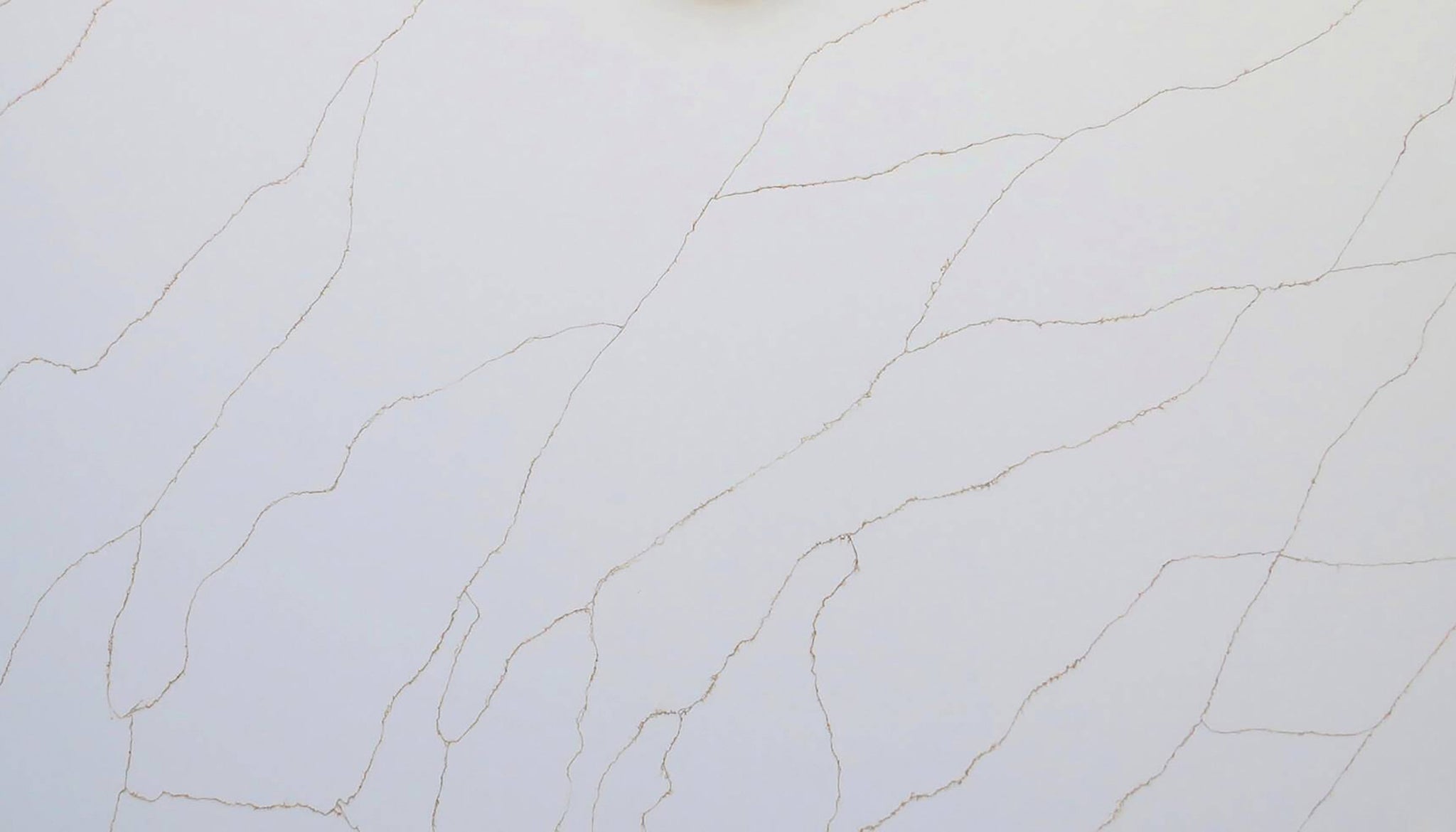 Calacatta Sienna Gold Cosmos Quartz