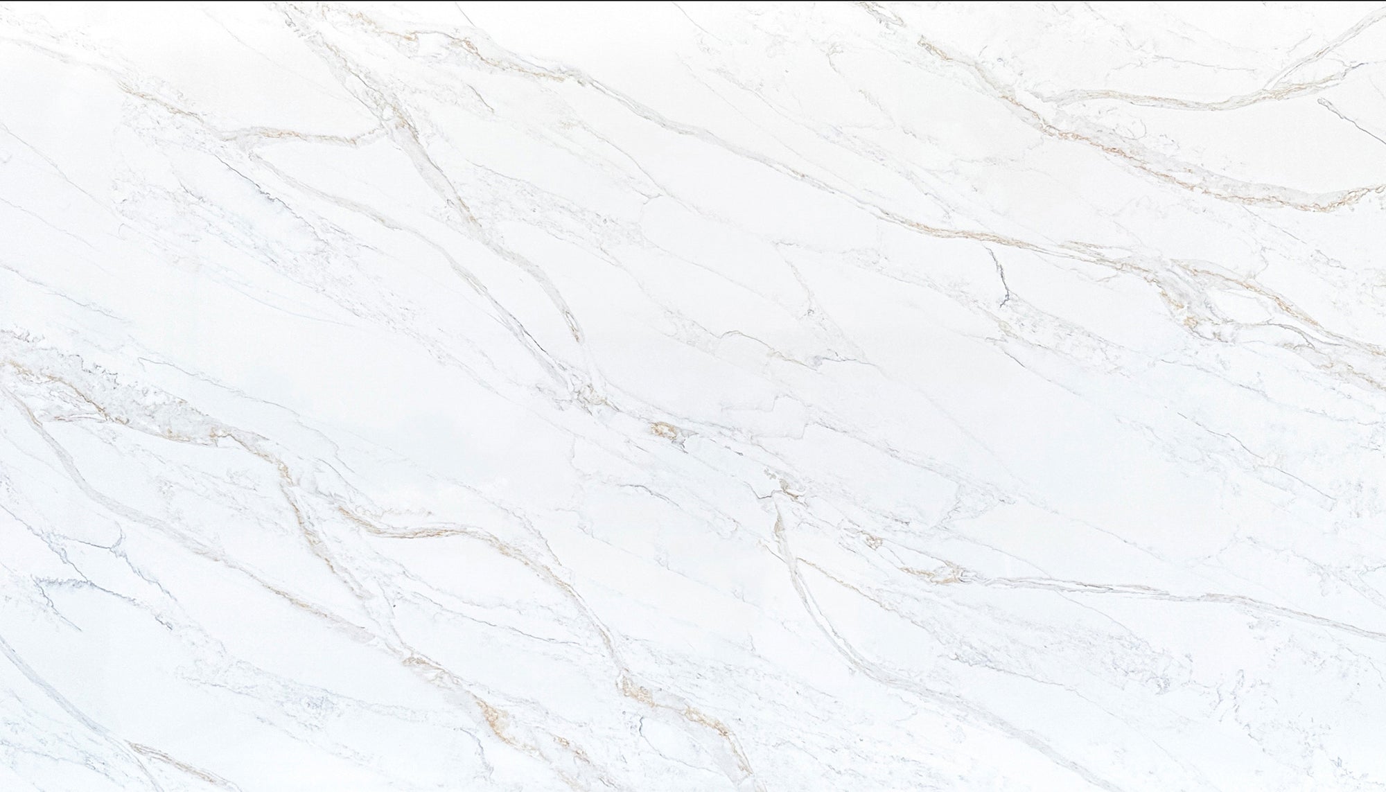 Calacatta Silverlight Cosmos Quartz